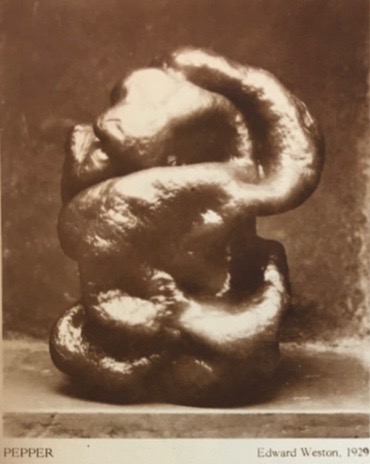 Still Life – Edward Weston Bibliography