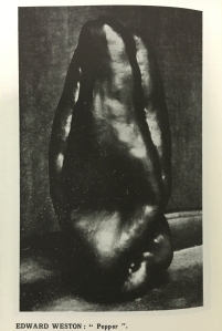 Still Life – Edward Weston Bibliography